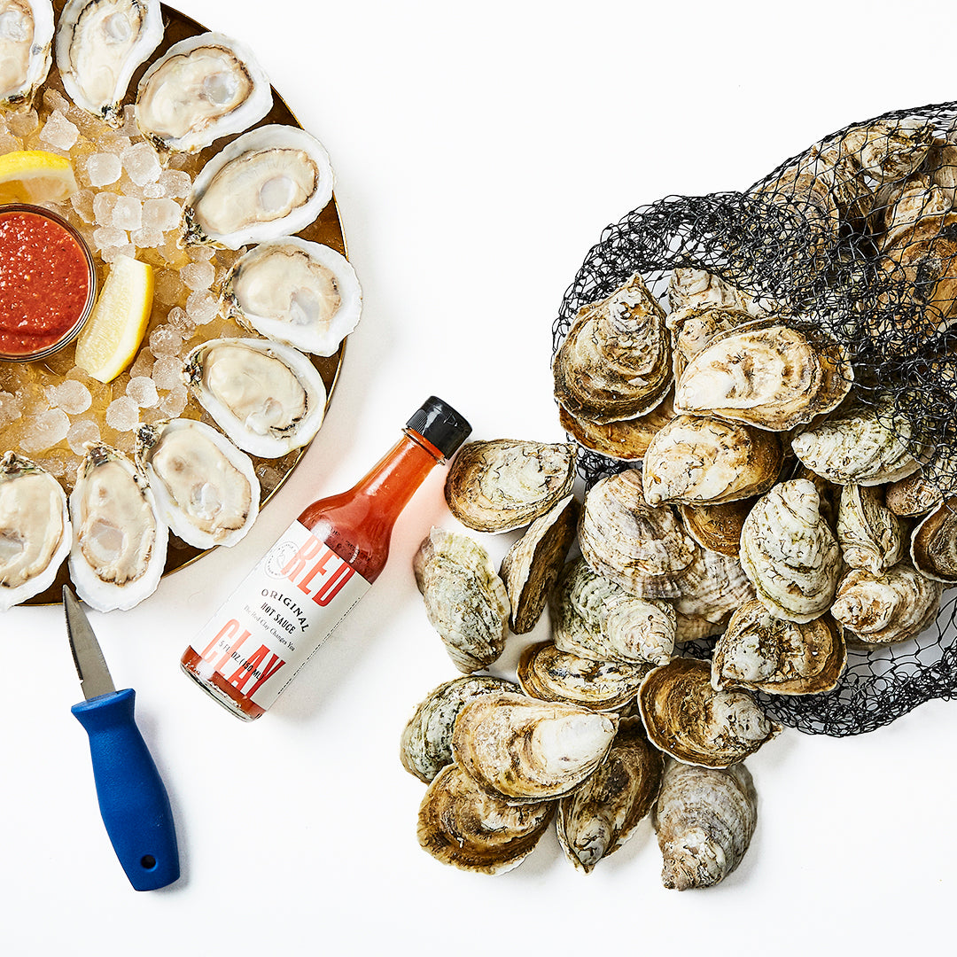 Live Oysters | White Stone Oysters | Chesapeake Seafood